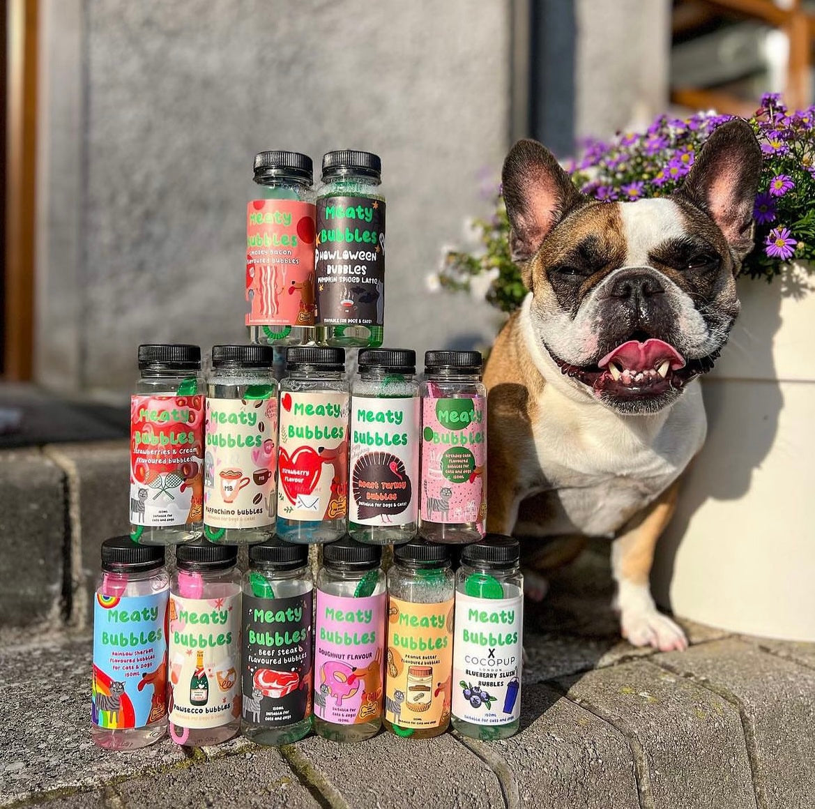 Meaty Edible Bubbles – Dog and Jones